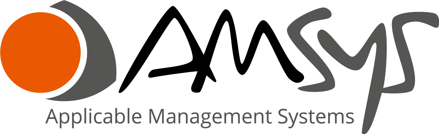 Who is AMSYS? Developer - Life Cycle Management Client